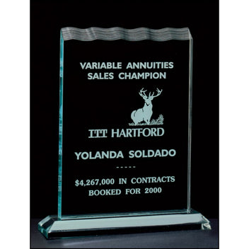 Frosted Acrylic Custom Perpetual Plaque - Multiple Sizes – Schoppy's ...